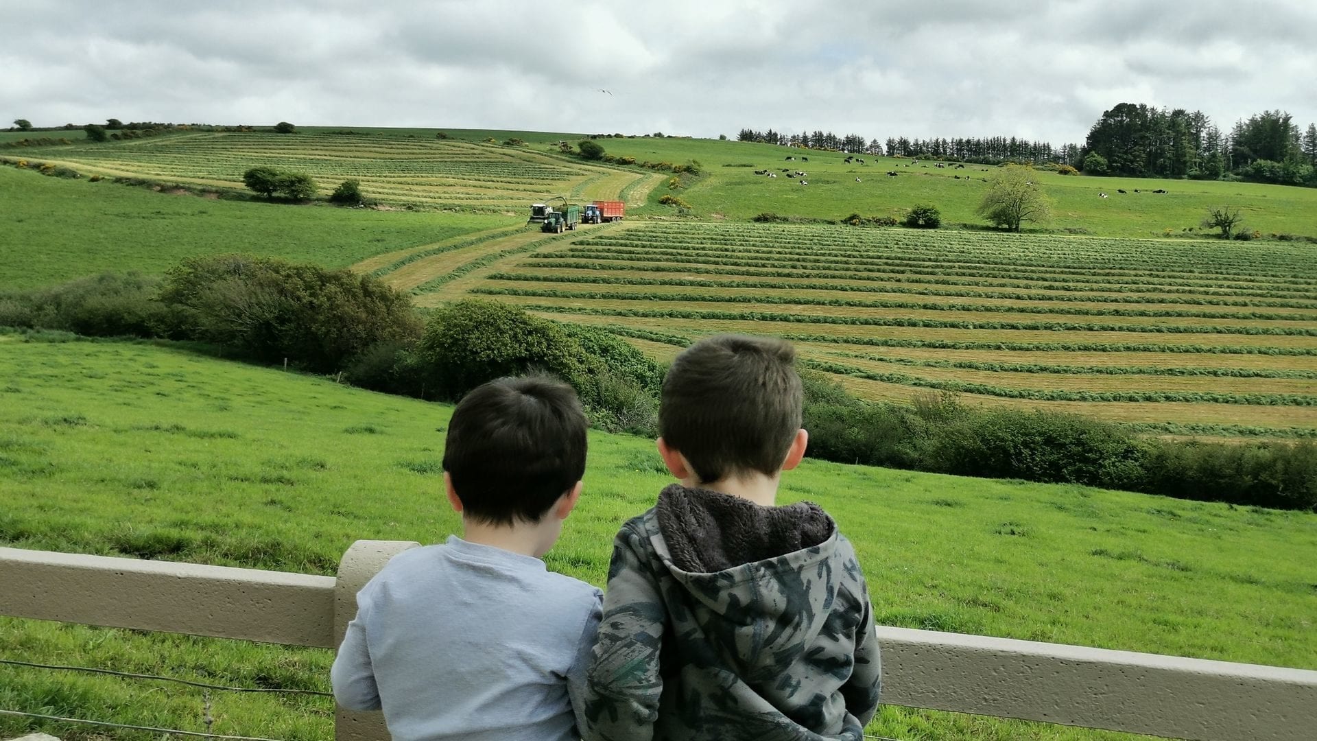 FDC Group: Accountants | Business Advisors | Tax Consultants ...